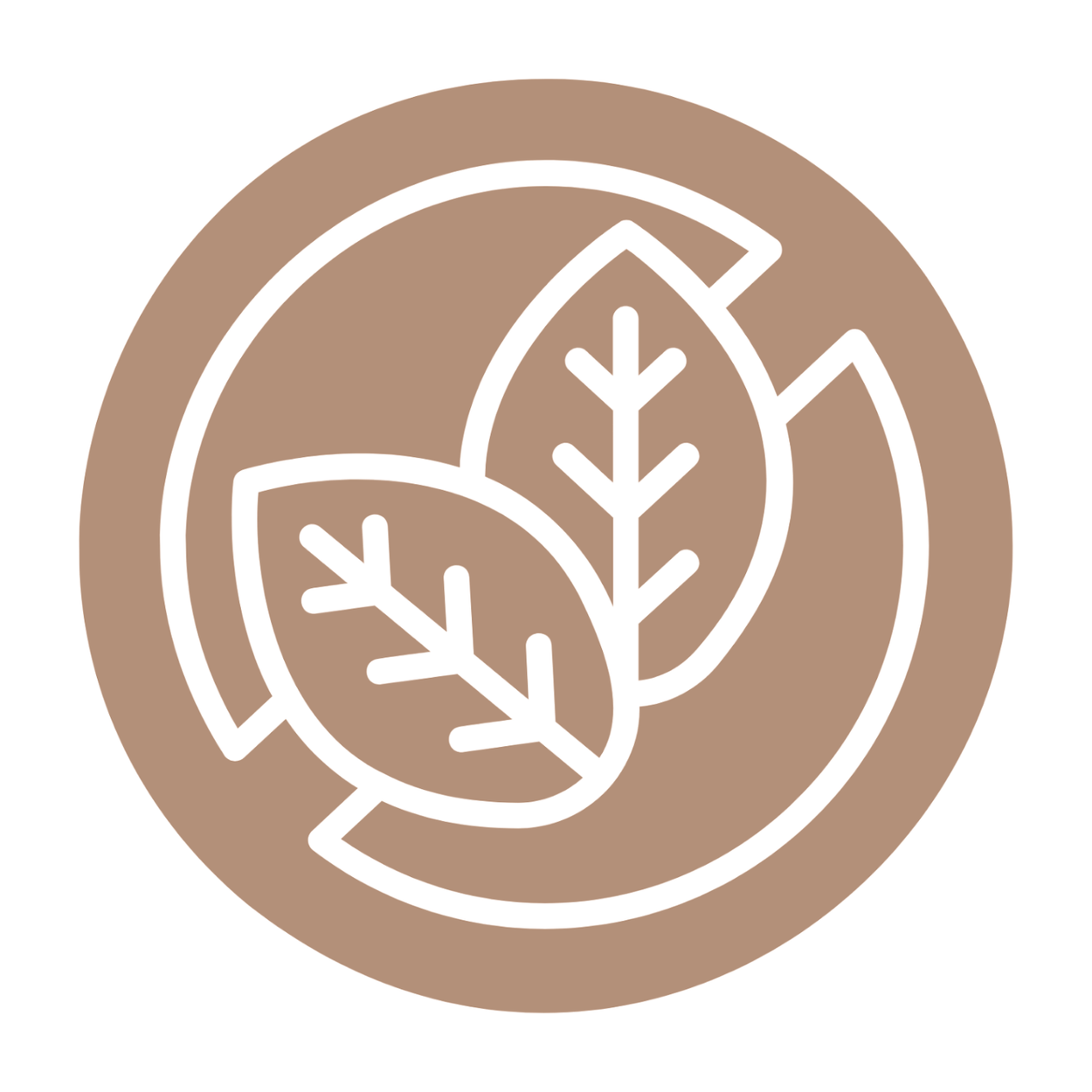 Stumpy's Coffee – Stumpy's Coffee